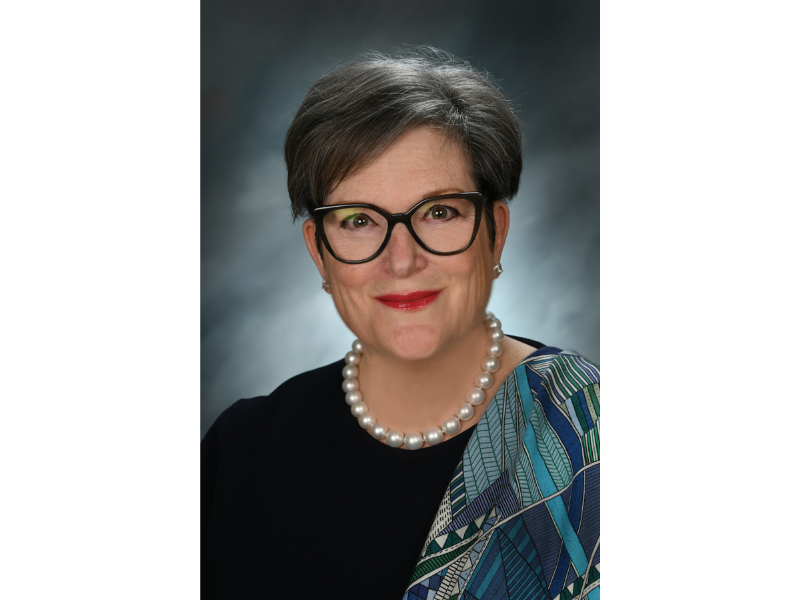 Robin Goldfischer, General Counsel for Valley Health System, Named to ...